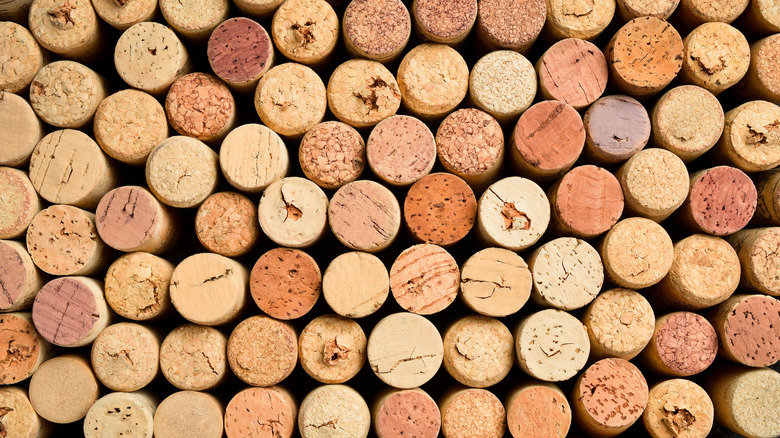 The wine cork hack that keeps exhausted pollinators cool & refreshed ...