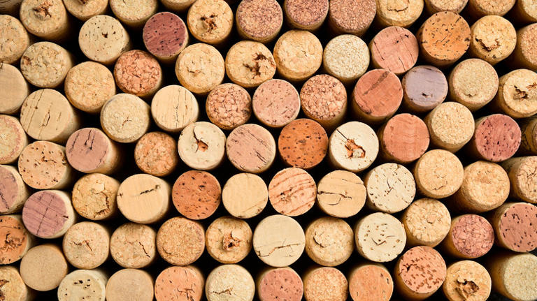 The wine cork hack that keeps exhausted pollinators cool & refreshed ...