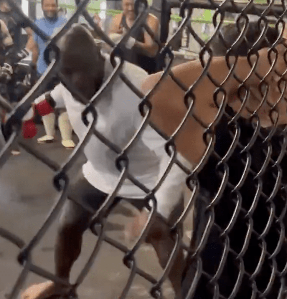 Video: Derrick Lewis levels fan with stiff body shot