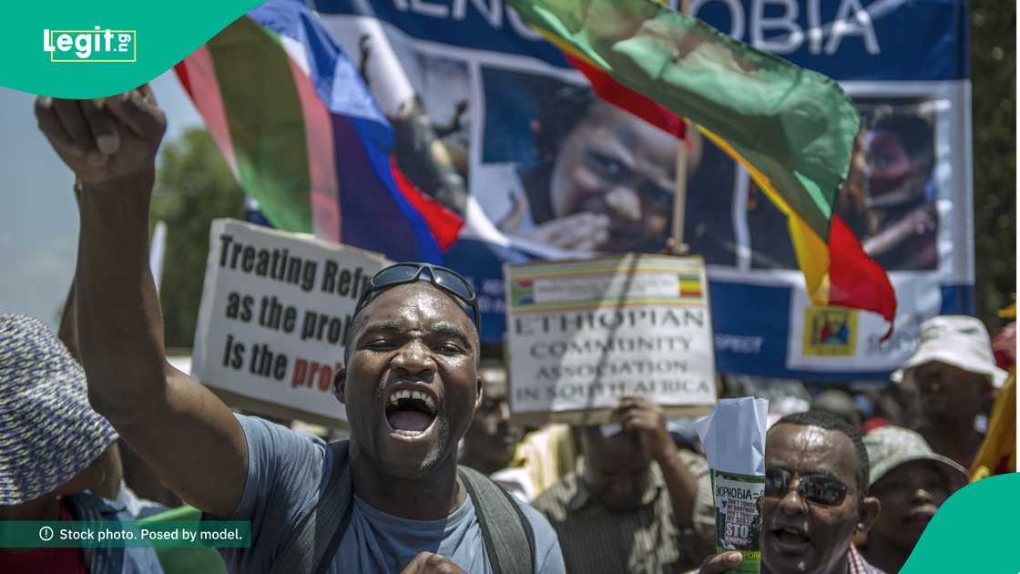 Xenophobic attack: WHO breaks silence over recorded deaths, "Africa ...