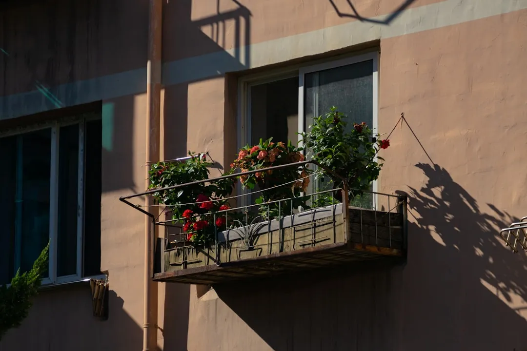 5 potted vegetables that are perfect for small balconies and patios