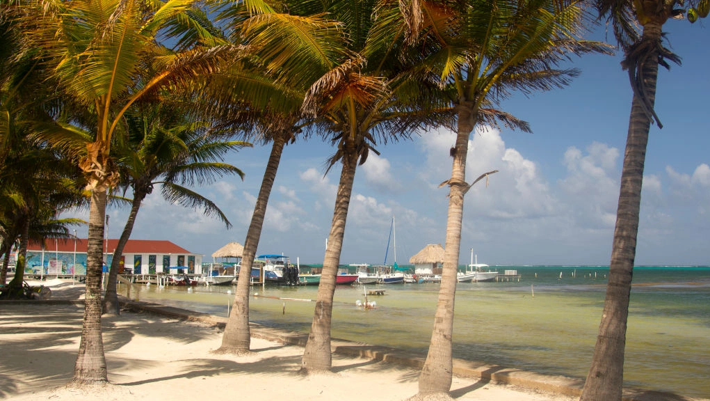 Private island resorts reshape luxury with privacy focus