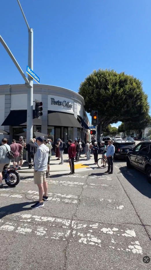 Santa Monica mountain lion tranquilized and removed from residential area
