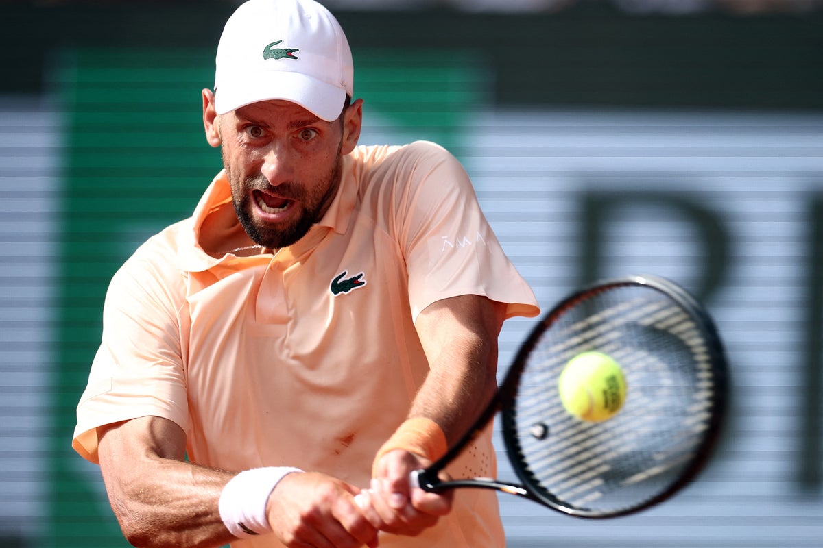 Novak Djokovic scolds French Open cameraman: 'Give me some space'