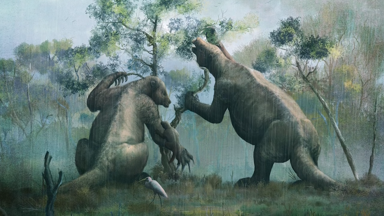 This is the giant bear that could run down early humans