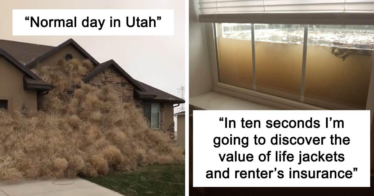 49 times nature completely ruined someone’s day