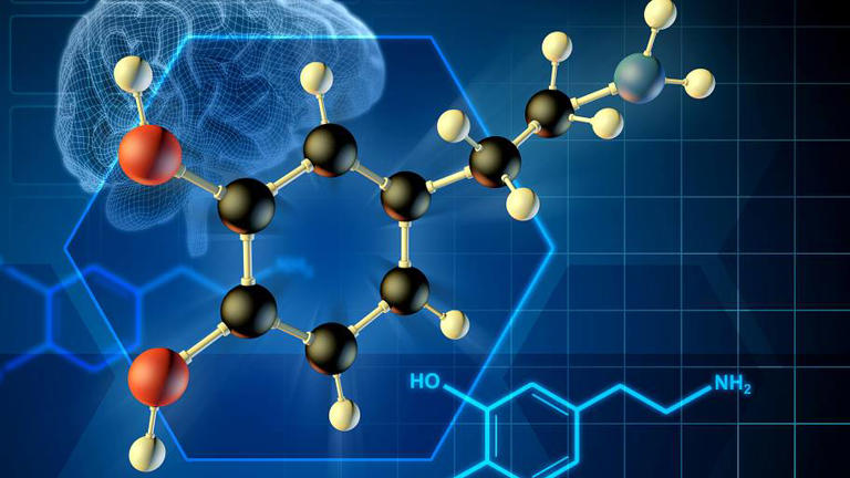 Does "dopamine fasting" actually work?
