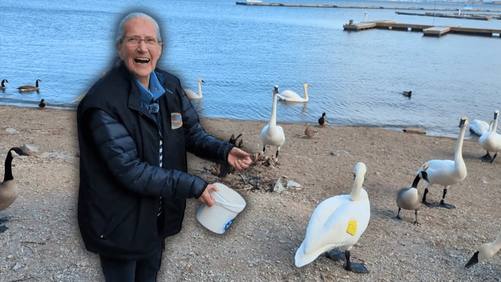 Meet 'Mother Swan,' the woman who helped save a species