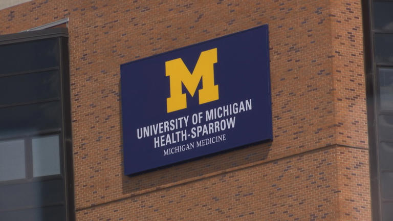 Union demands answers as Sparrow Lansing outsources 379 jobs