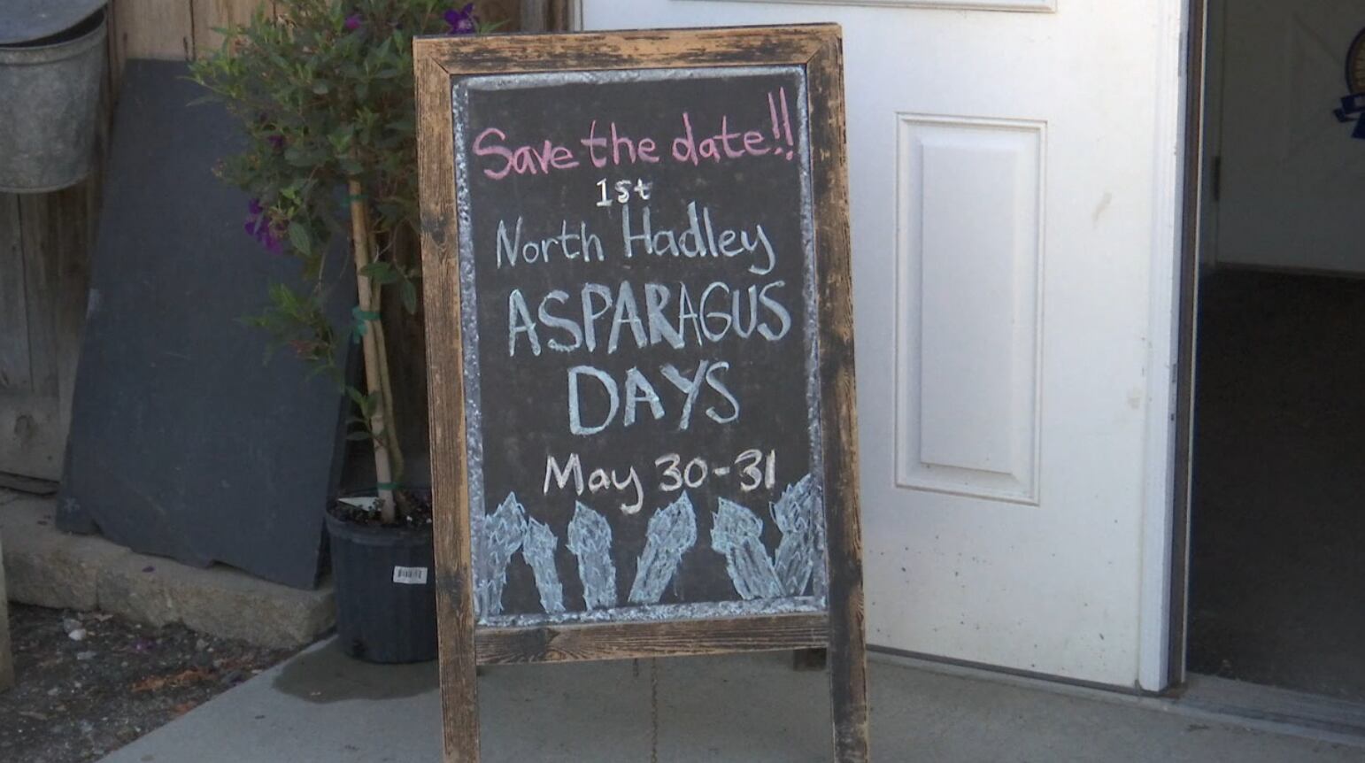 First ever asparagus days to take place in Hadley