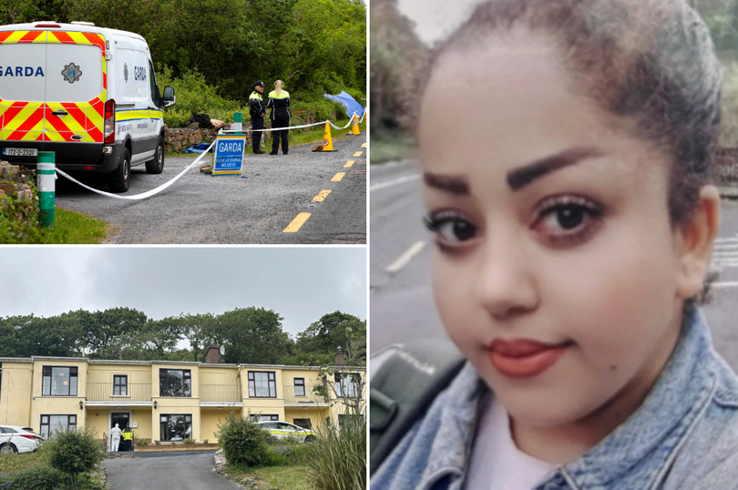 Suspect in murder of mother-of-two Masuma Sohrabi in Clifden fined ...