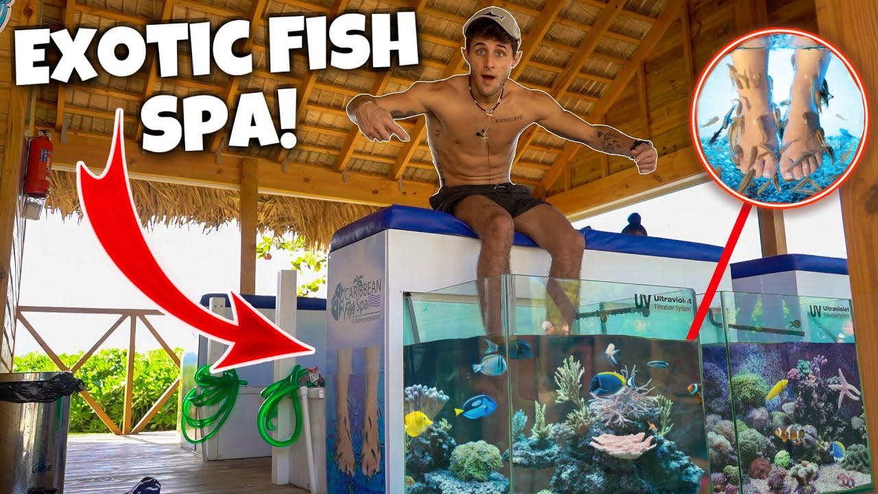 I discovered the magic of exotic fish!🐠
