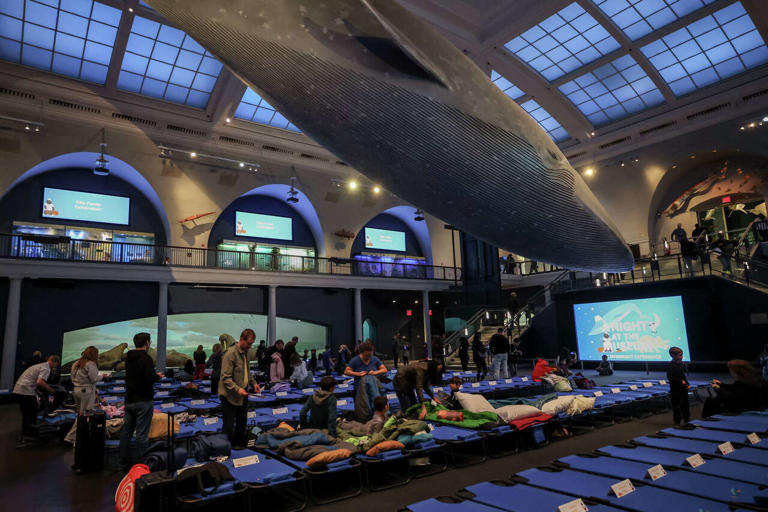 What it's like to sleep over at the American Museum of Natural History