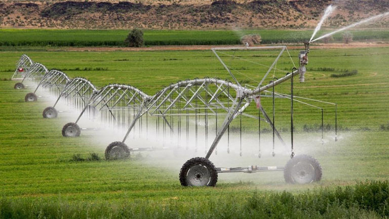 USDA announces payment rates for specialty crop farmers