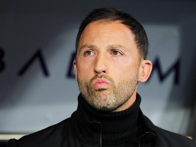Neuer Tedesco-Klub steht fest: Ex-S04-Coach trainiert jetzt vergessenen ...