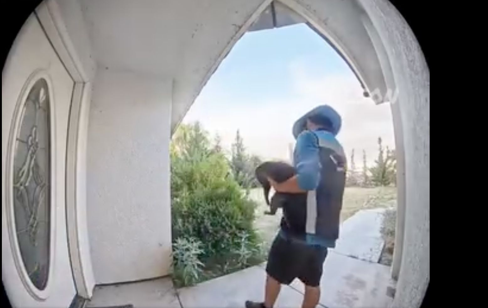 Graban a un repartidor de Amazon robándose un gato del portal de una casa