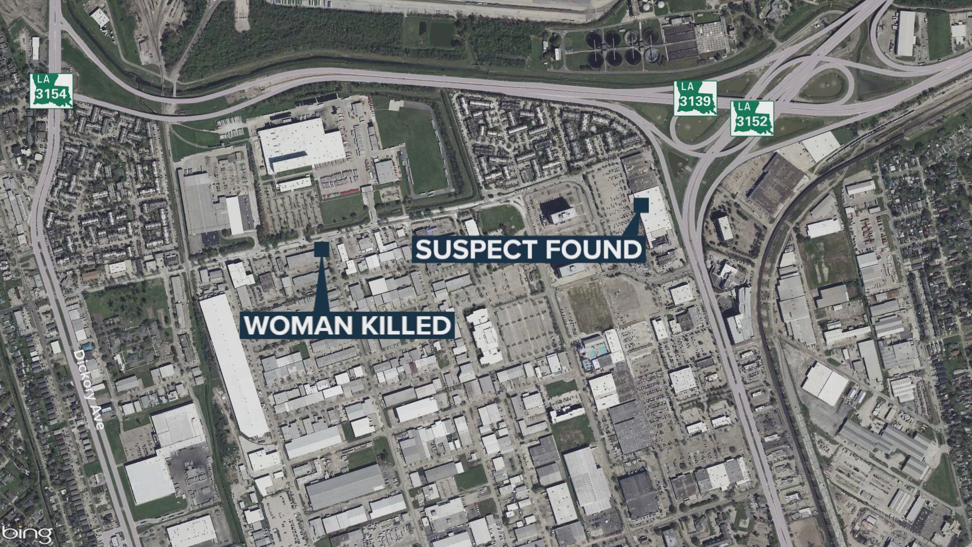 Woman, man dead after Elmwood murder-suicide: deputies