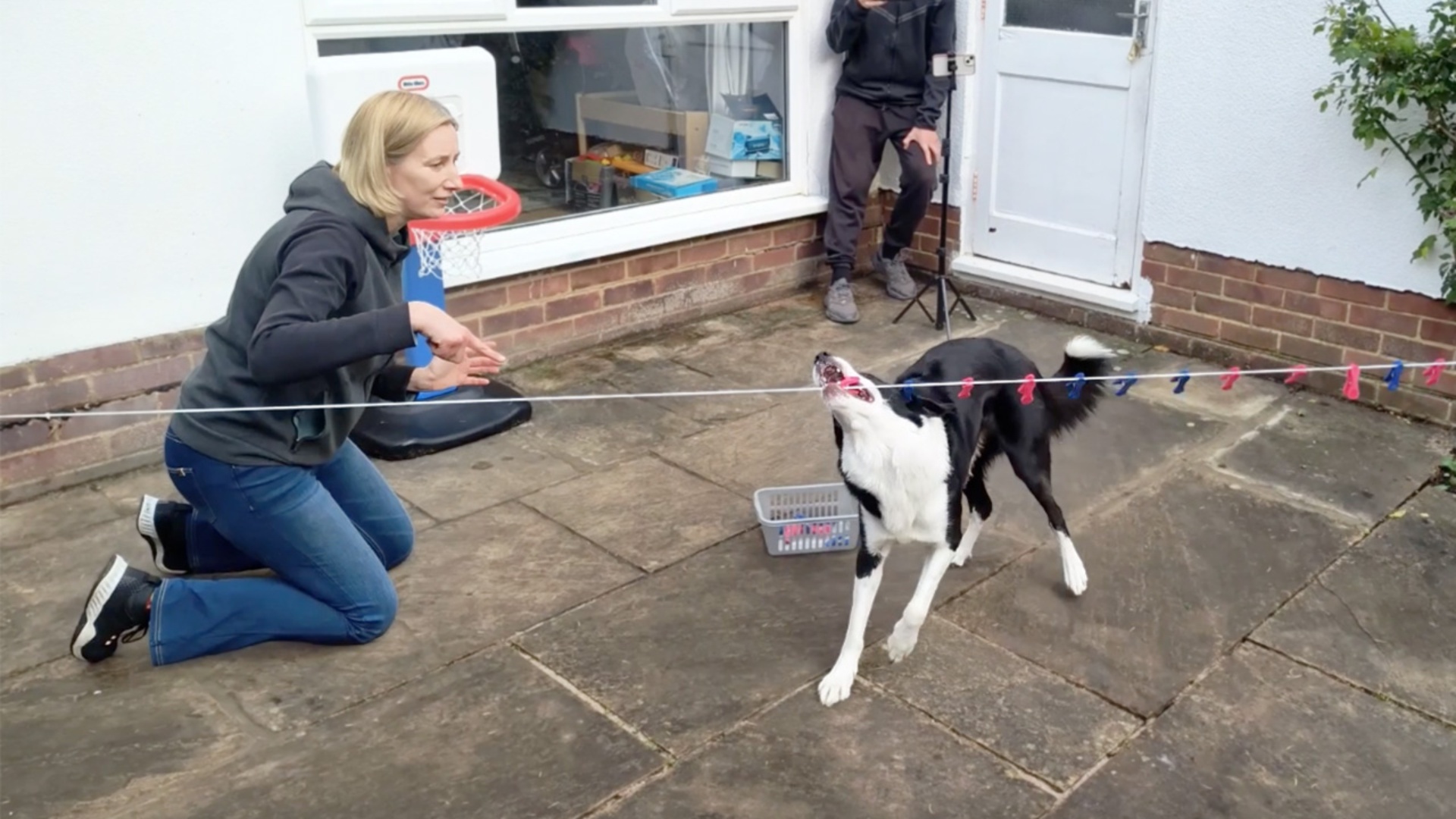 Most clothes pegs retrieved from a washing line by a dog in one minute ...