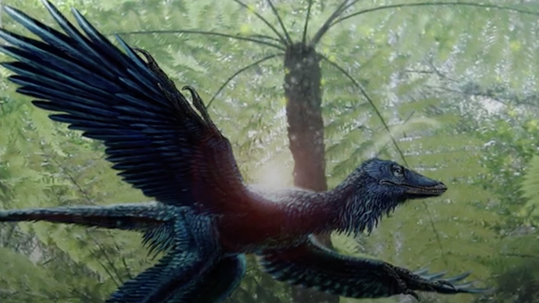 First dinosaur tail found preserved in amber