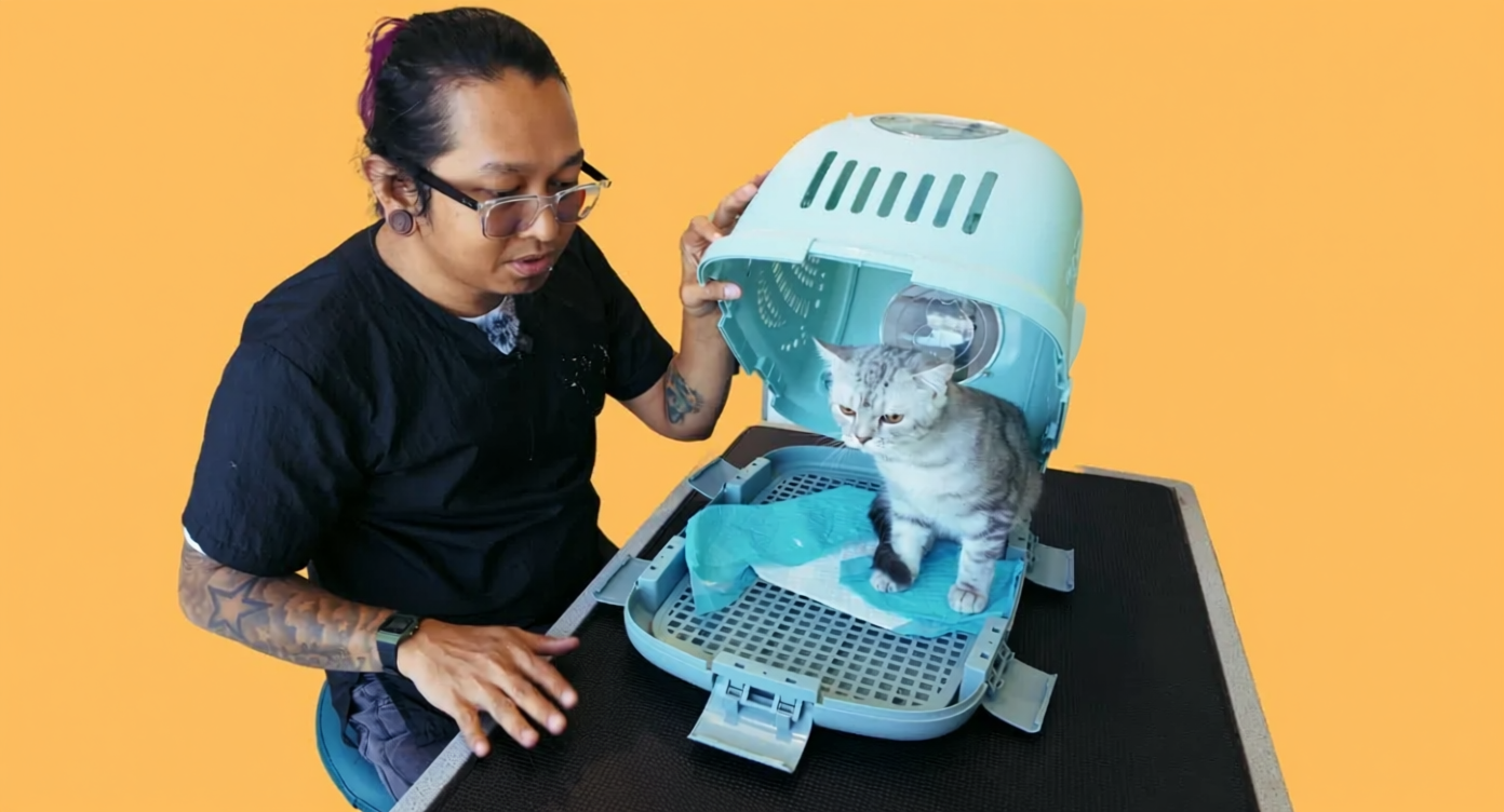 6-month-old Marble ASMR grooming 😻