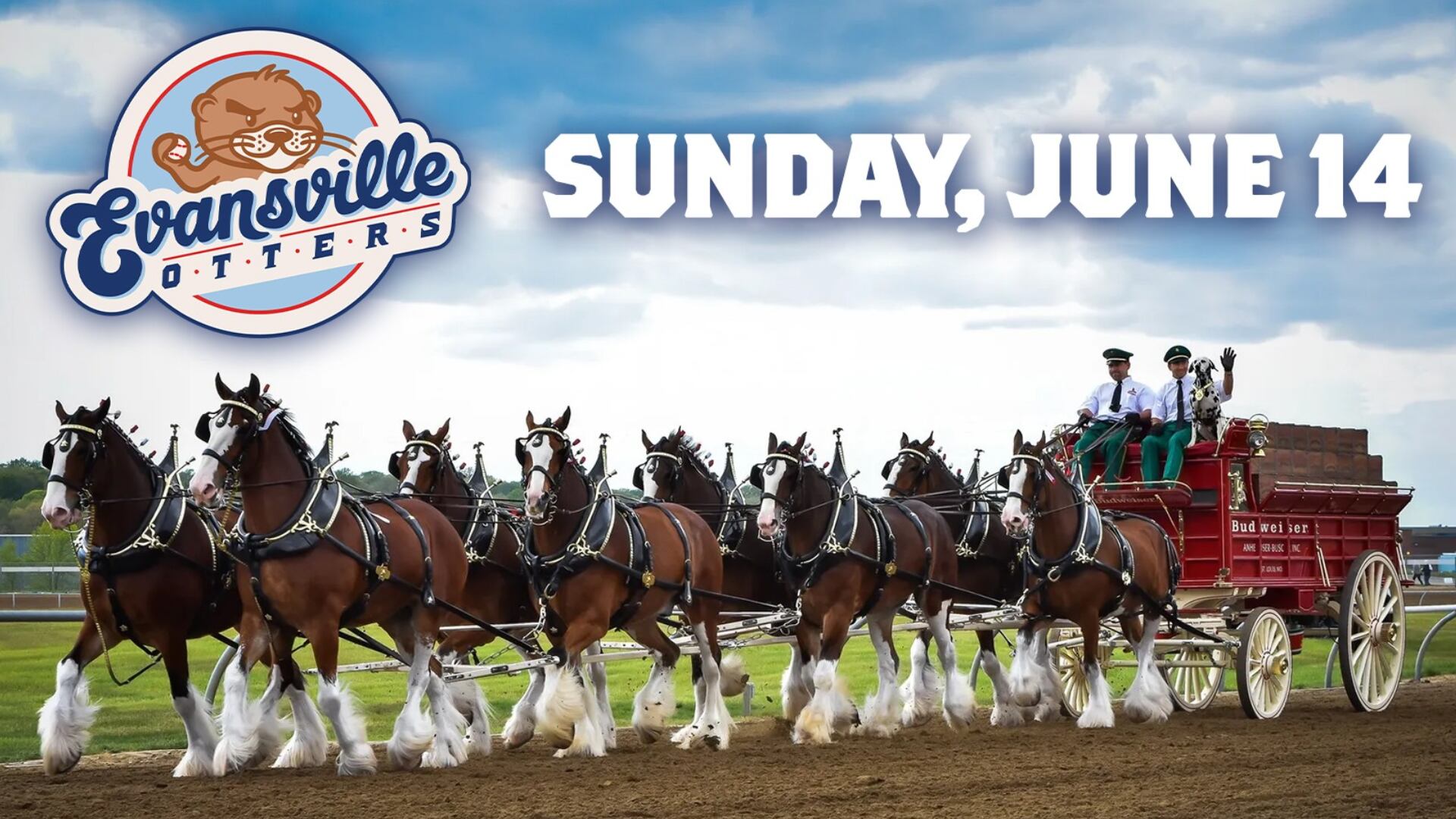 World famous Budweiser Clydesdales to appear at Bosse Field