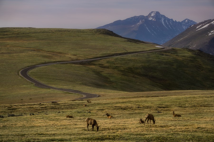 Study: Colorado ranks near middle among best summer road trip states