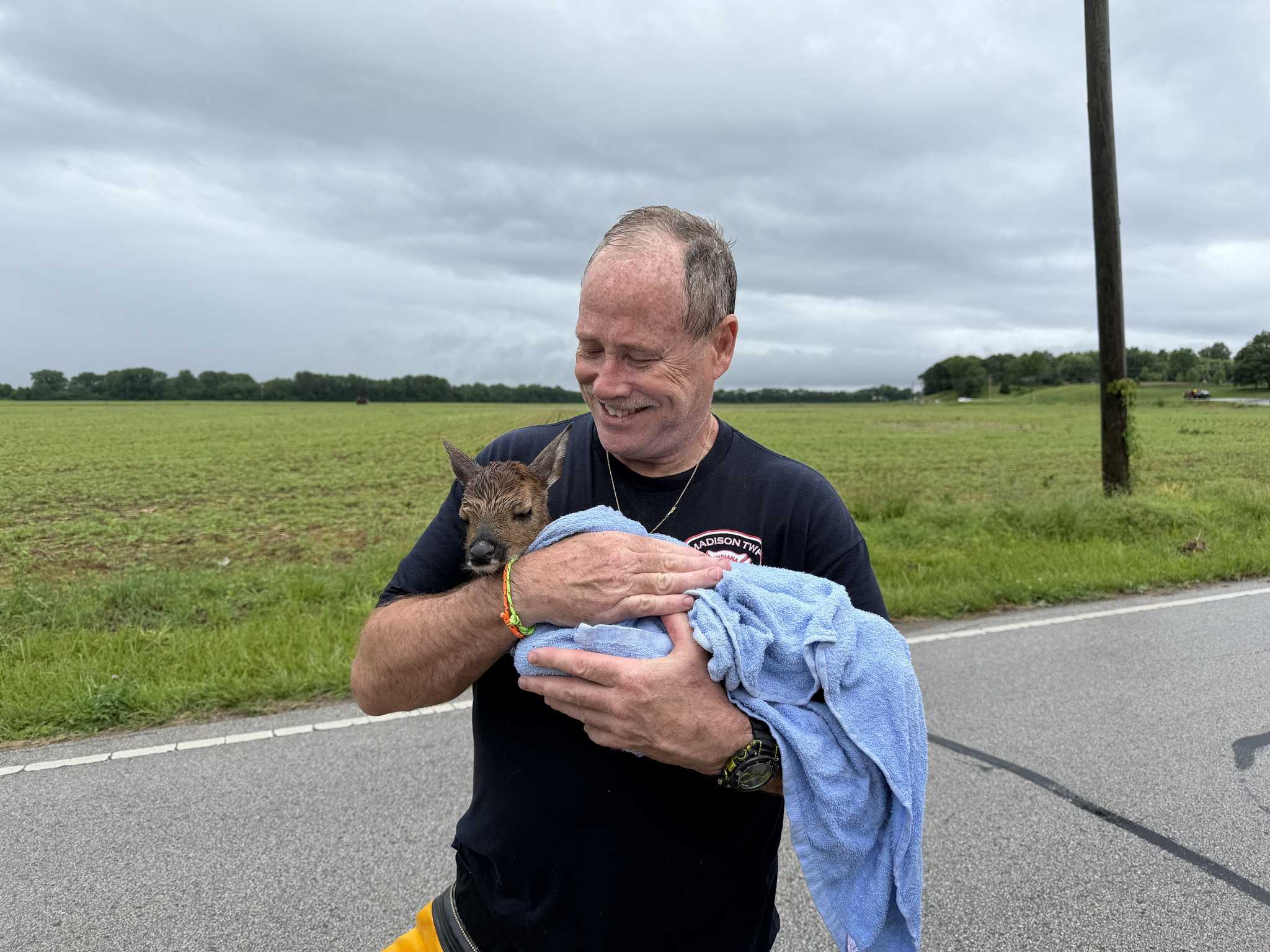 Southern Indiana firefighter hailed as hero after saving fawn from ...