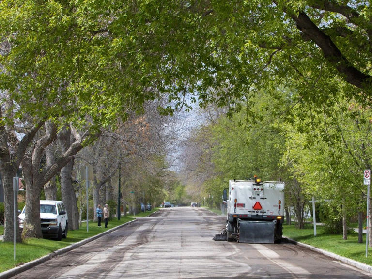 City to plant 180,000 new trees in 2026 mostly in far northeast and ...