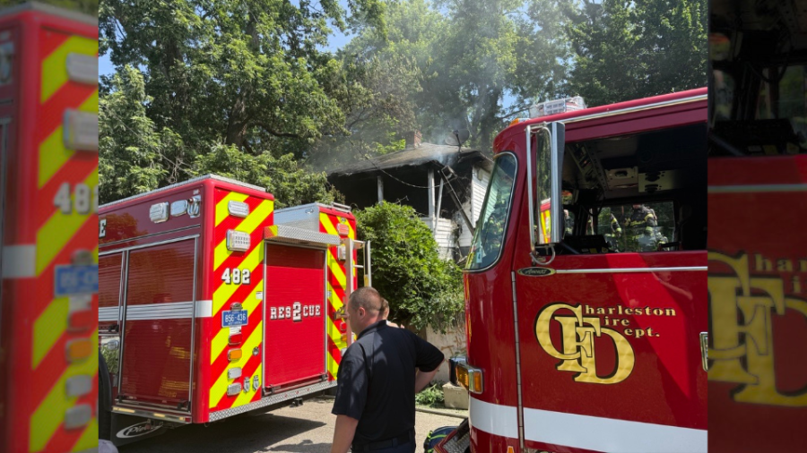 1 person, 9 dogs pulled from Charleston house fire