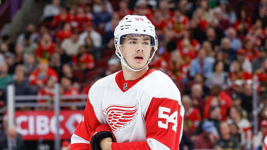 How William Wallinder fits with Red Wings future