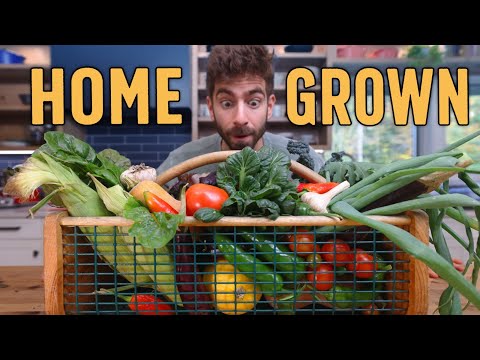 I transformed my life in 3 years 🌱