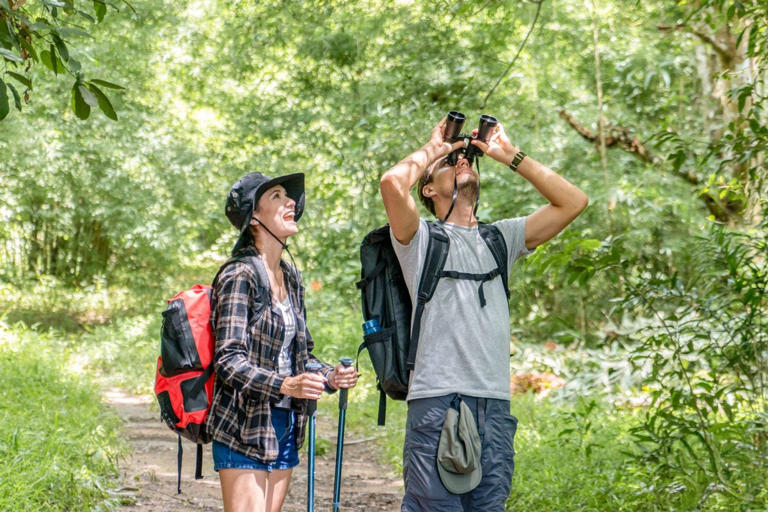 Here’s why everyone you know is suddenly into bird-watching (and why ...