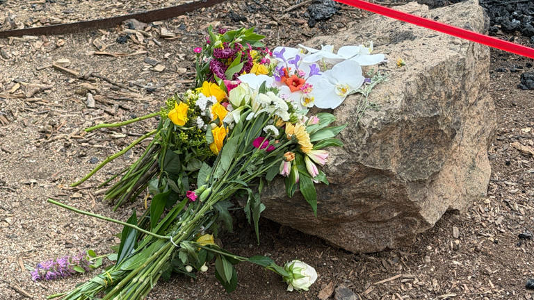 Pease Park Conservancy plans tribute after beloved troll was destroyed ...