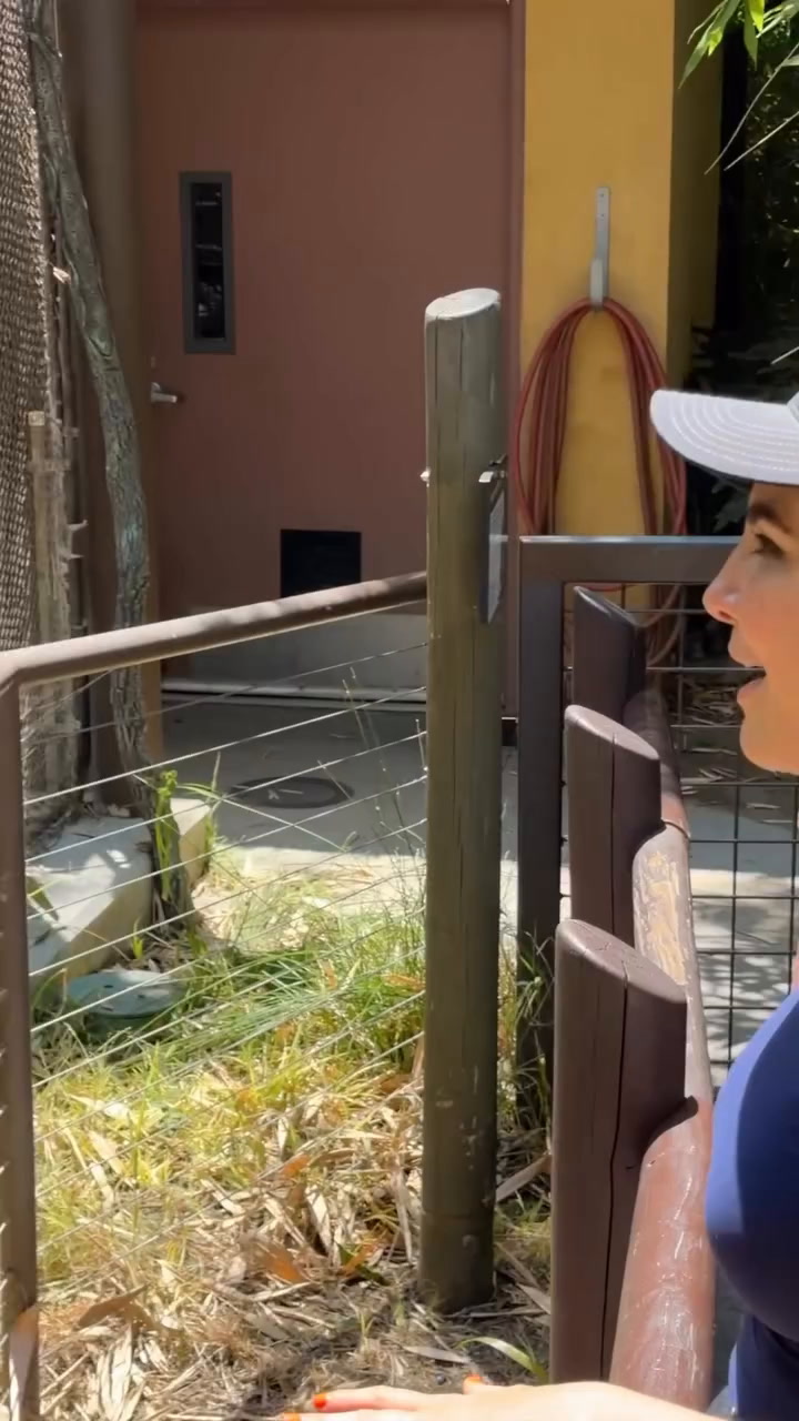 Martha Higareda y Lewis Howes se divierten con sus hijas en el zoológico