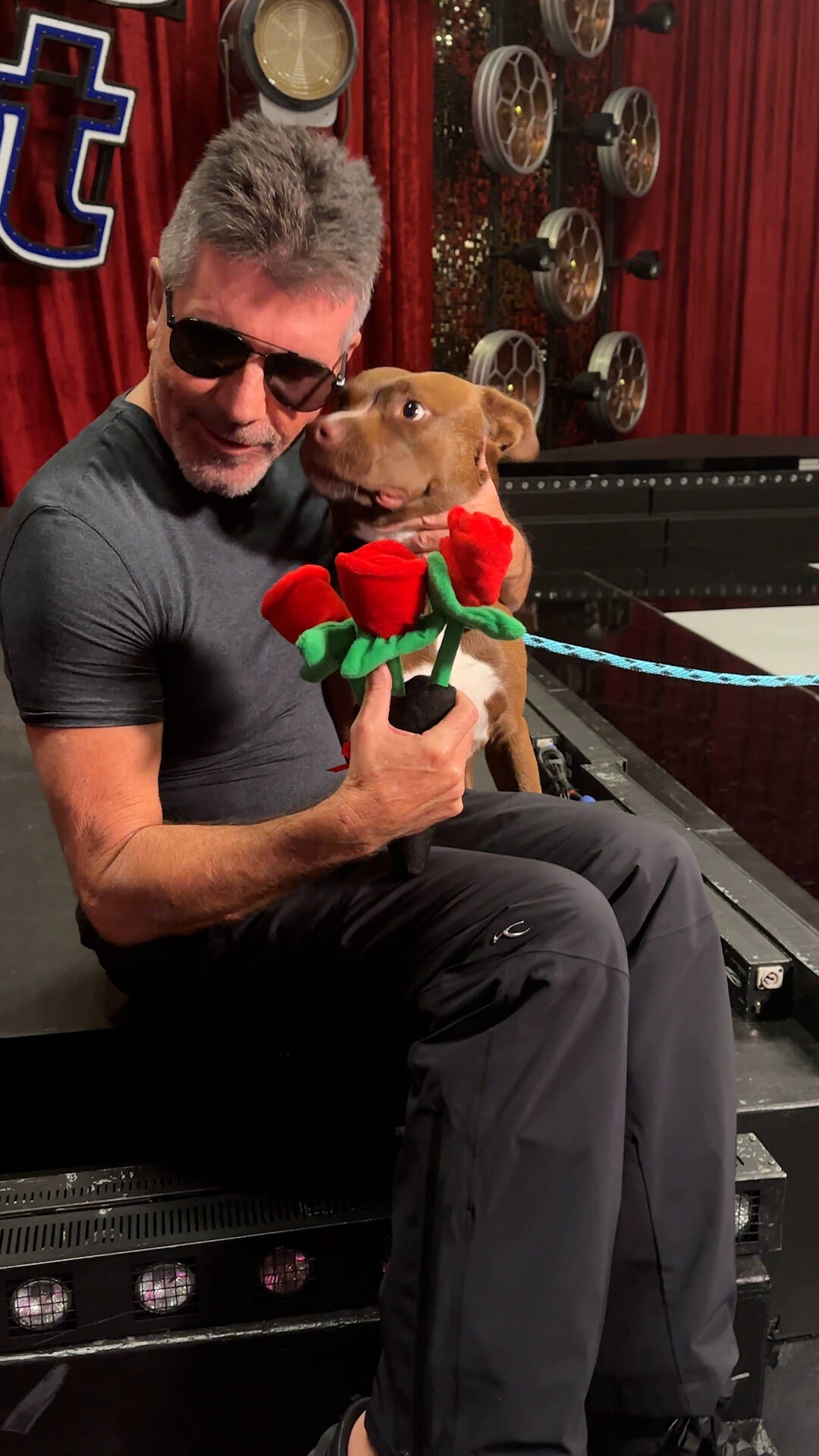 Simon Cowell falls hard for a rescue pittie on his Dodo dream date