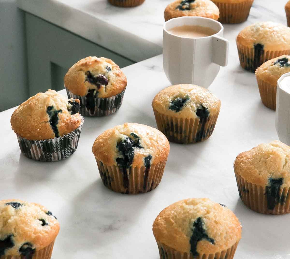 Quick and easy blueberry muffins
