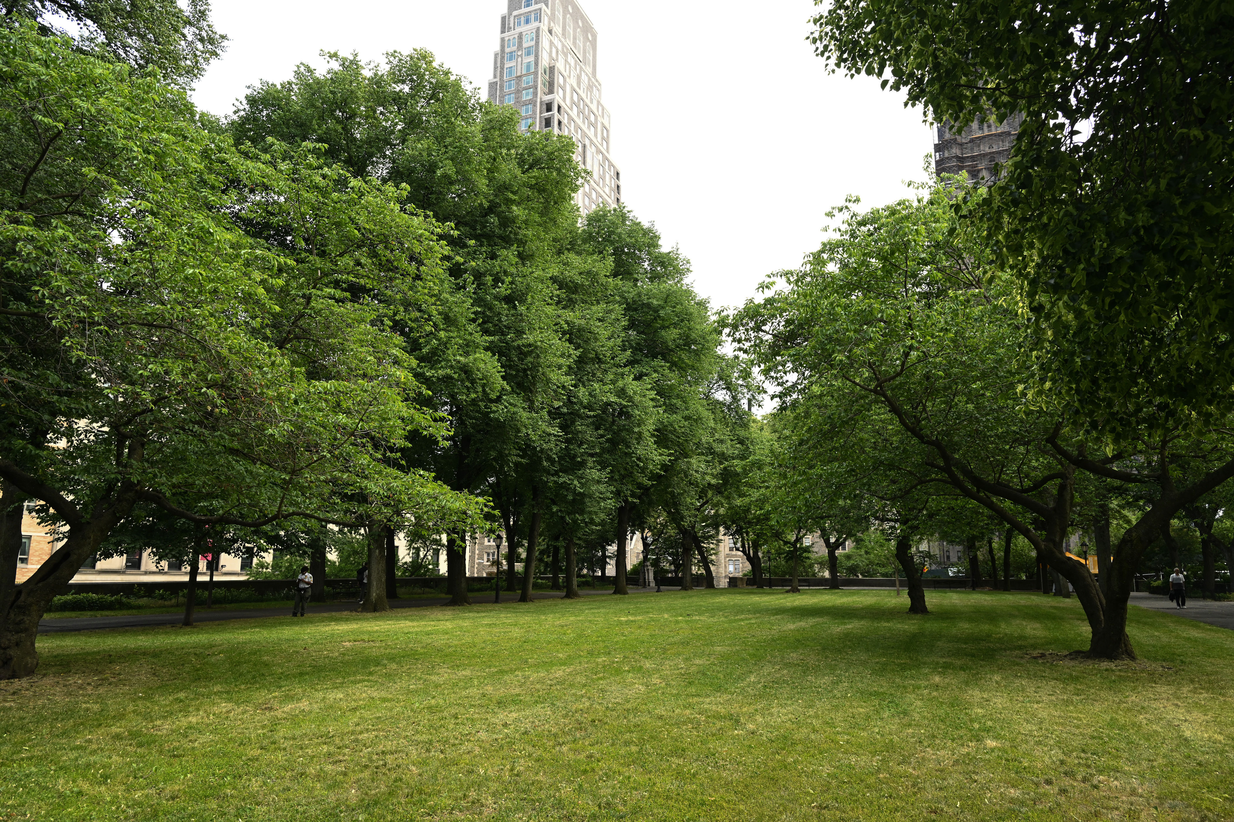 NYC taxpayers on the hook for shocking $375K tab just to replace 2 ...