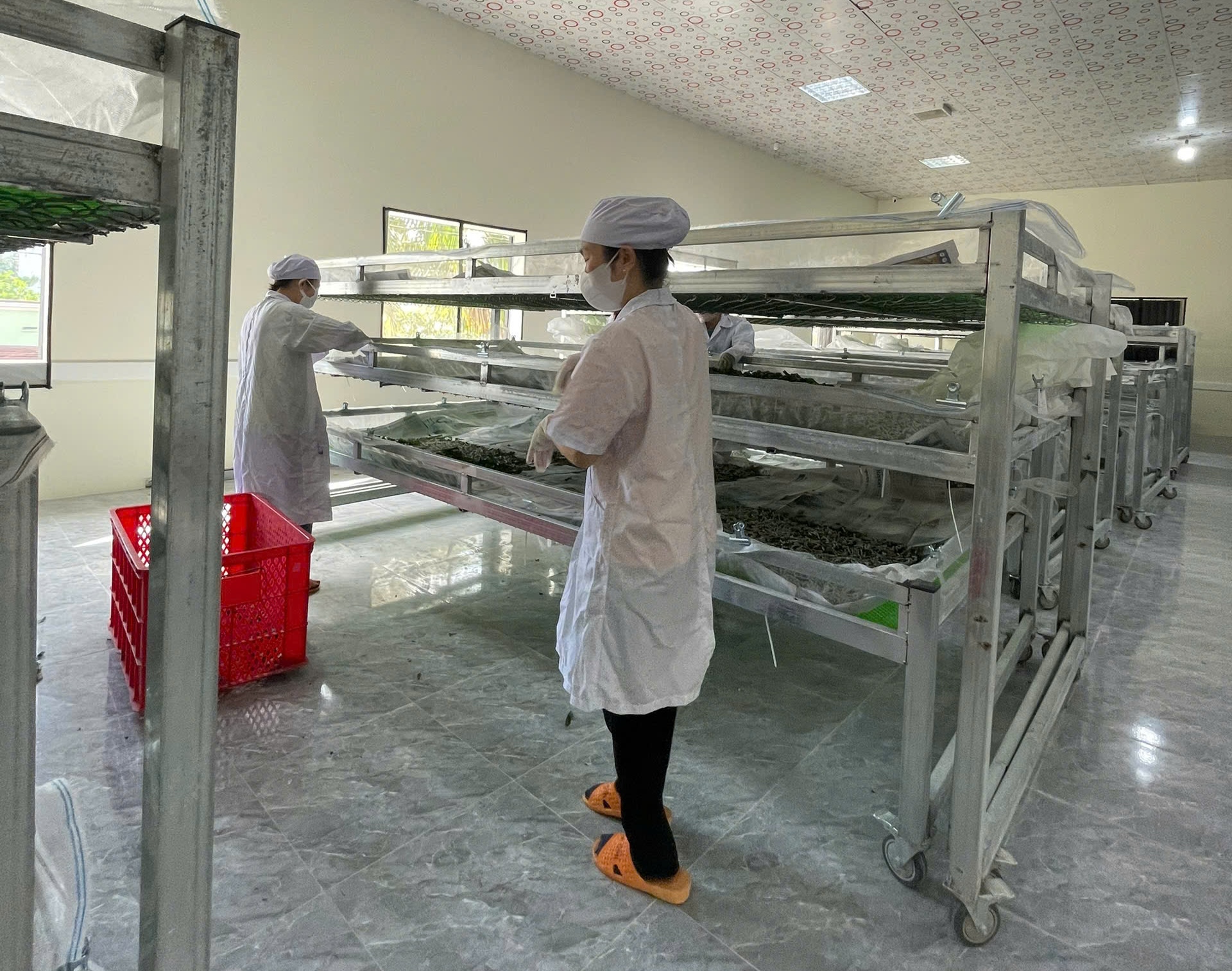 Material world: Kraig Biocraft Laboratories scales spider silk