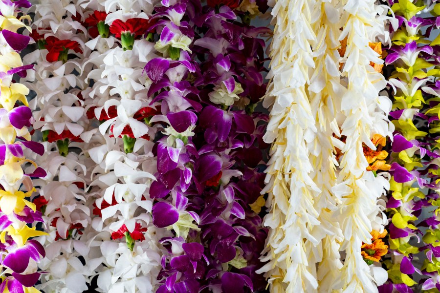 Tips to make the most out of a Hawaiian vacation
