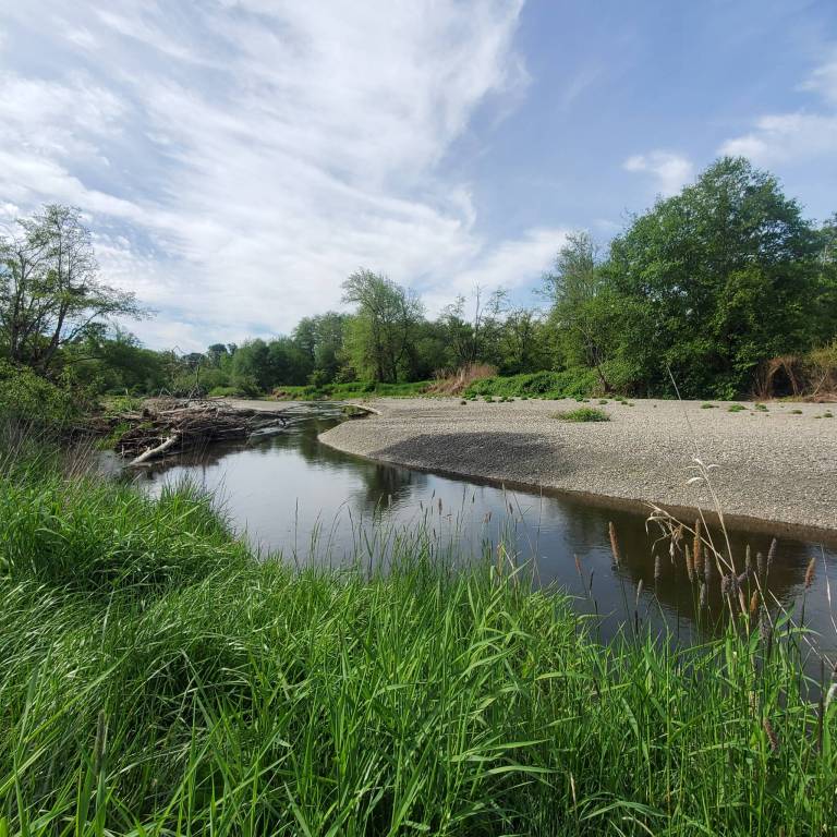 Assessing future sites in the Cloquallum watershed for stream restoration