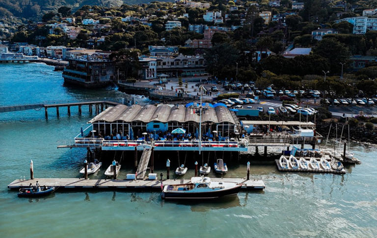 California yacht club descends into vicious infighting as legal battle ...