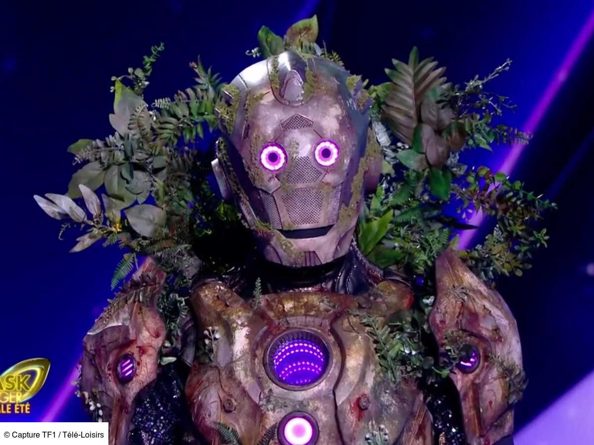 Mask Singer 2026 : quelle célébrité se cachait sous le costume du ...