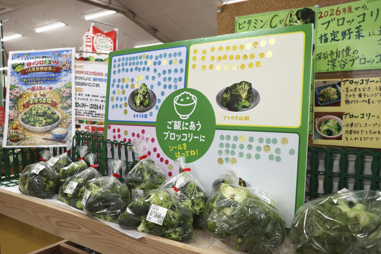 深谷ブロッコリーを身近に 「ネギだけじゃない」埼玉