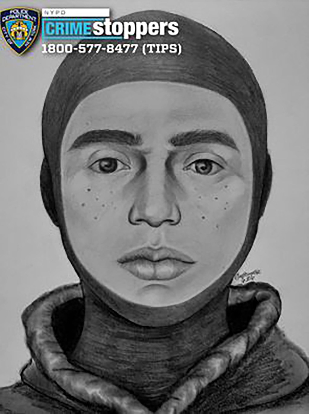 Hooded sicko rapes woman in broad daylight at Coney Island park