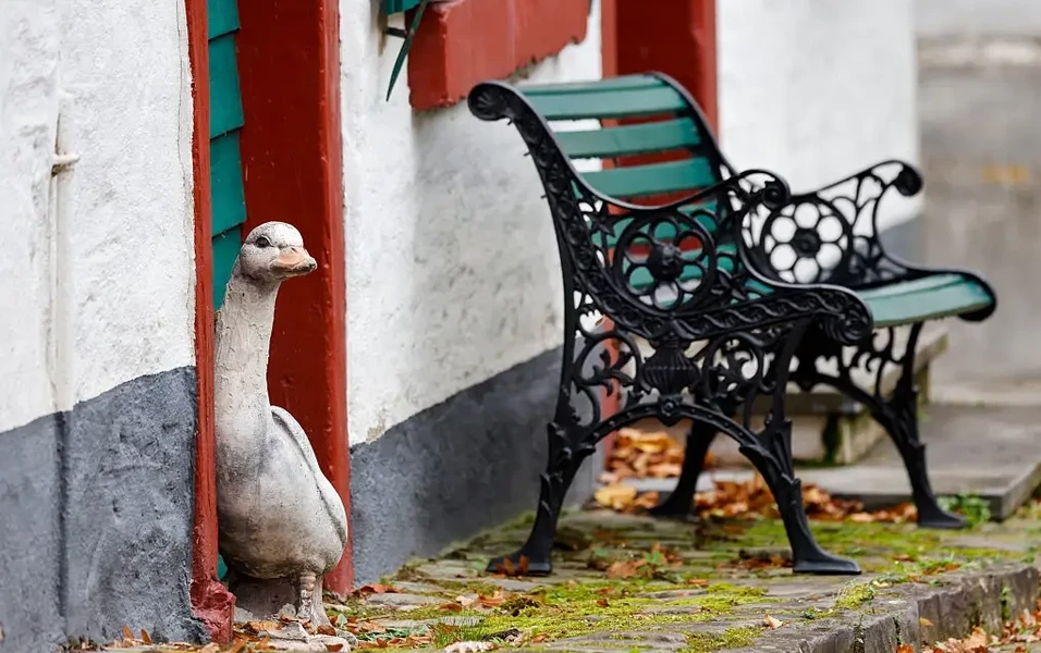 Porch geese make nostalgic return as millennials embrace kitsch
