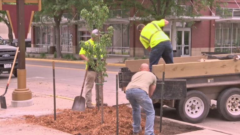 Downtown tree project to provide shade for Sioux City pedestrians
