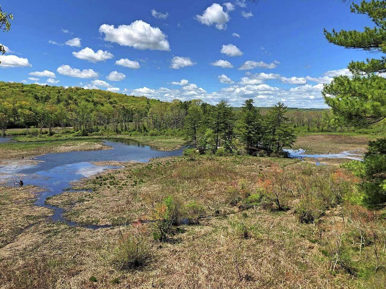 Missing South Windsor resident found dead at Selden Neck State Park ...