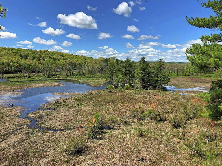 Missing South Windsor resident found dead at Selden Neck State Park ...