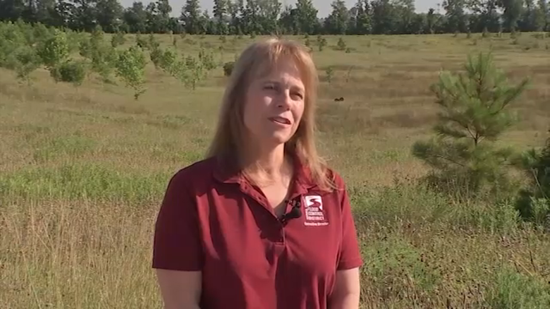 Harris County flood control leader not focused on her job status ...