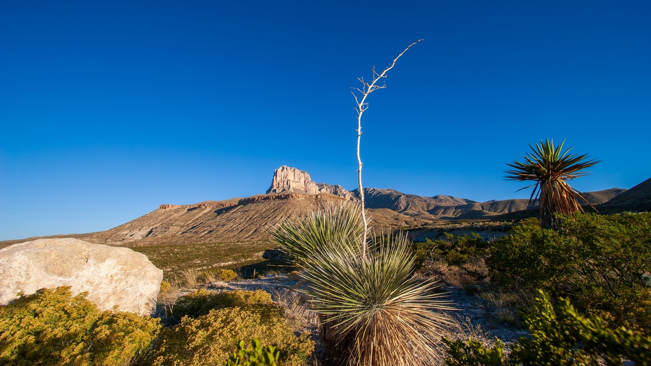 Flat desert, then suddenly a 3,000-foot reef. West Texas’s best park ...